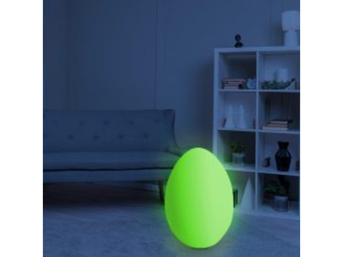 LED Egg Shaped Mood Light Furniture w/Remote - The Item